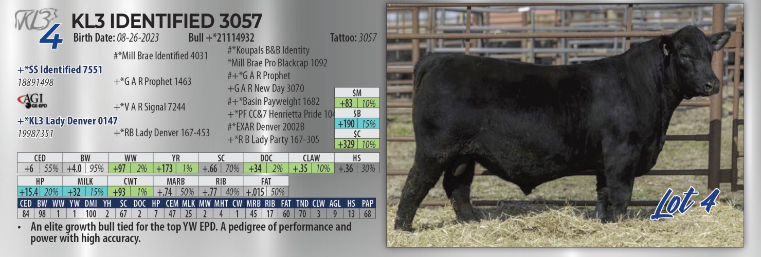 Lot 4: KL3 Farms - Annual Bull Sale | DVAuction