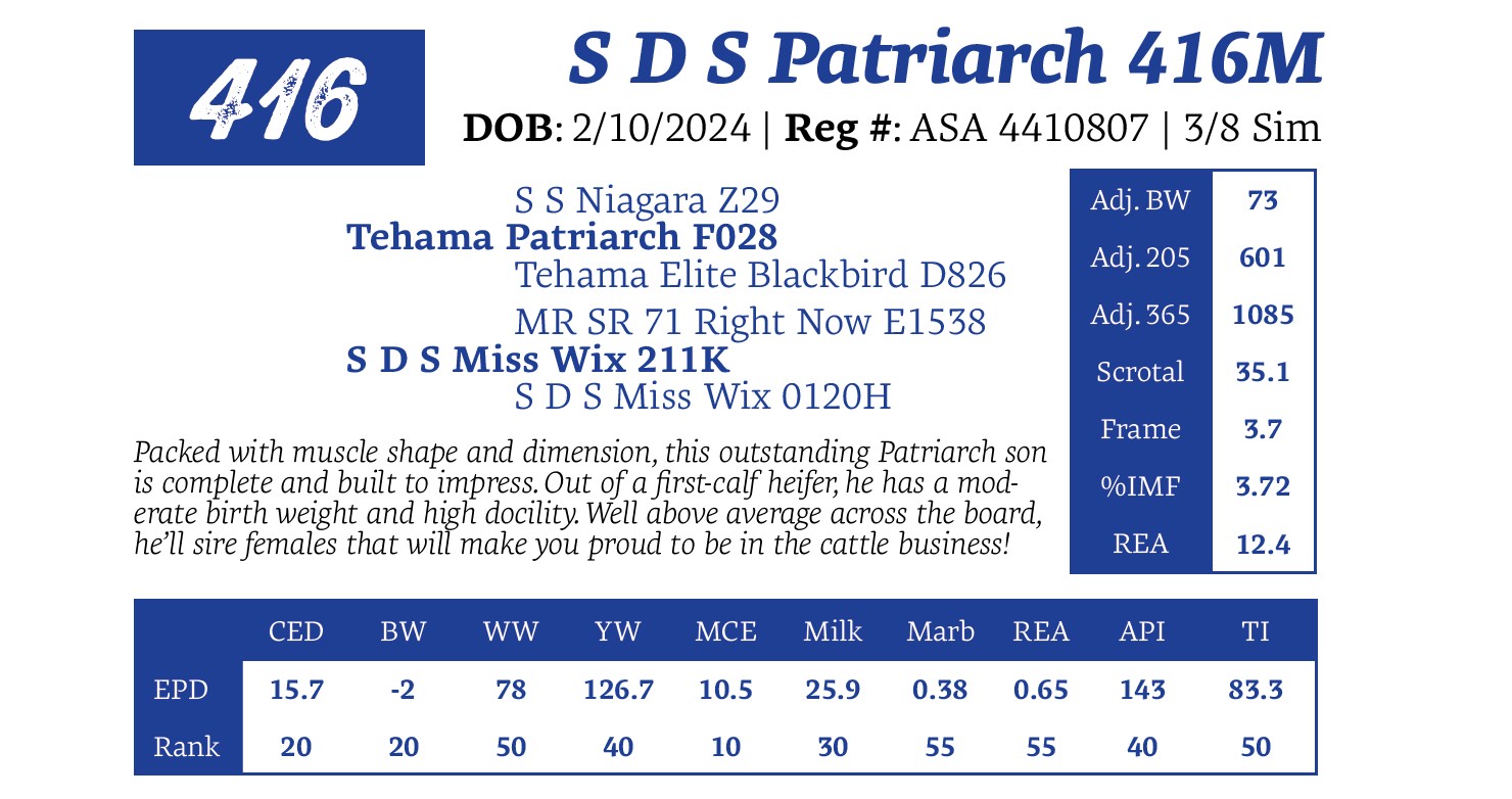 Lot 416: SDSU Bull Sale - 33rd Annual SDSU Bull Sale | DVAuction