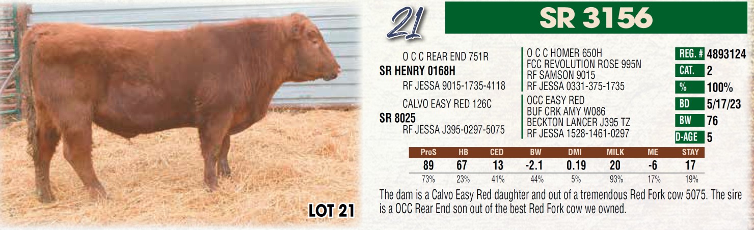 Lot 21 - SR 3156: Coverall Cattle - Stokka Ranch, Kalberer Ranch ...
