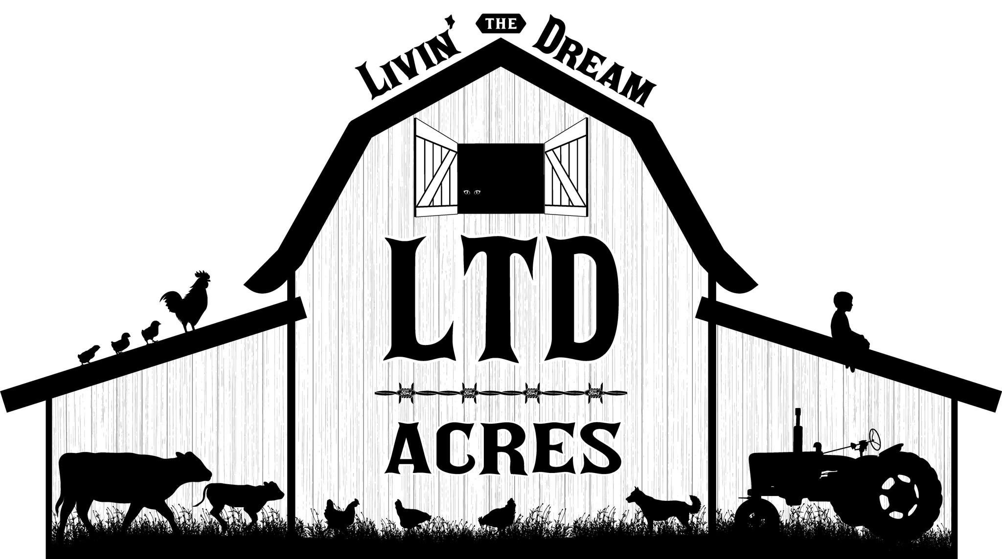 Broadcasting Real-Time Auctions | LTD Acres