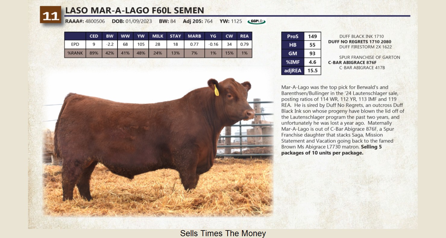 Lot 11c - LASO Mar-A-Lago F60L - 10 straws: Berwald Red Angus, Ressler ...