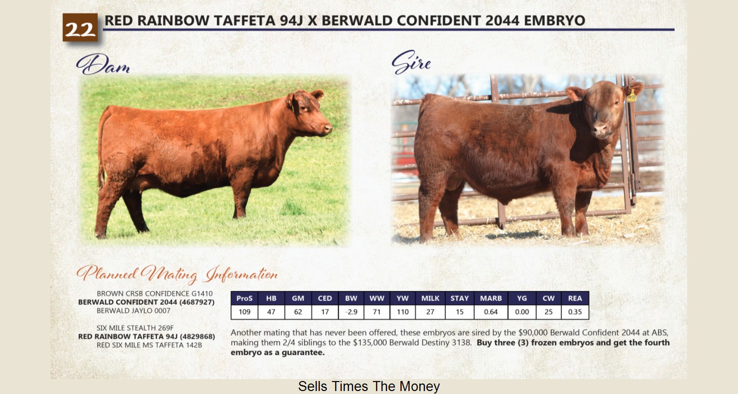 Lot 22 - Red Rainbow Taffeta 94J X Berwald Confident 2044 Embryo - 3 ...