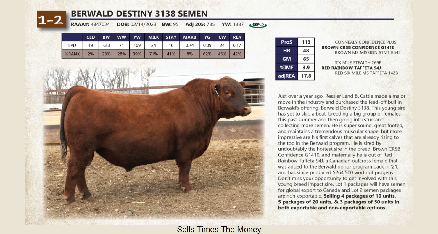 Lot 2l - Berwald Destiny 3138 (nonexportable): Berwald Red Angus, Ressler Land & Cattle & Lazy D ...