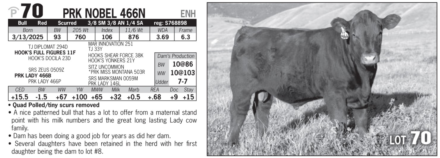 Lot 70: Parke Ranch - 2025 Maternal Power Production Sale | DVAuction
