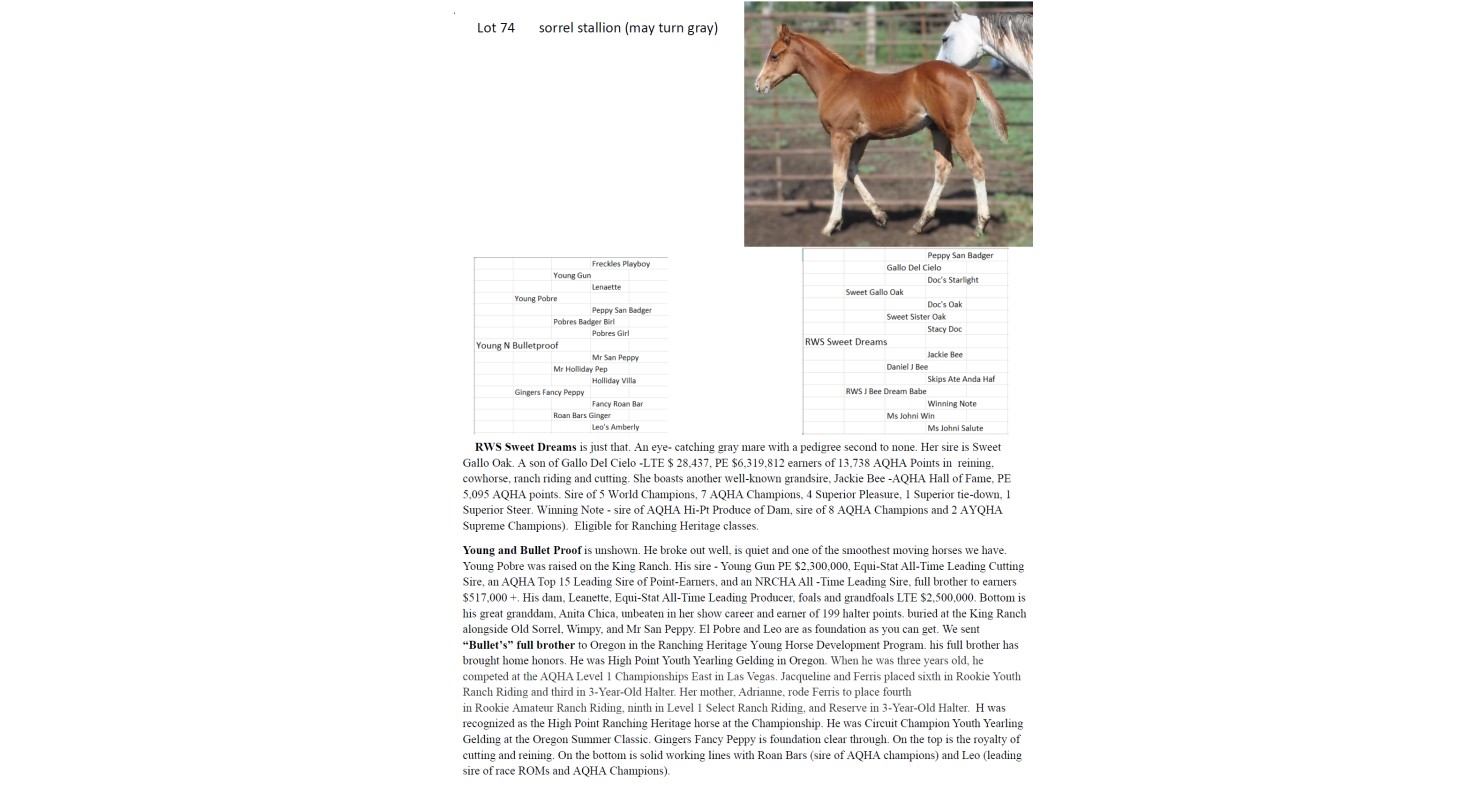 Lot 74 - RWS Sweet Dreams: Raymond Sutton Ranch - 74th Annual ...