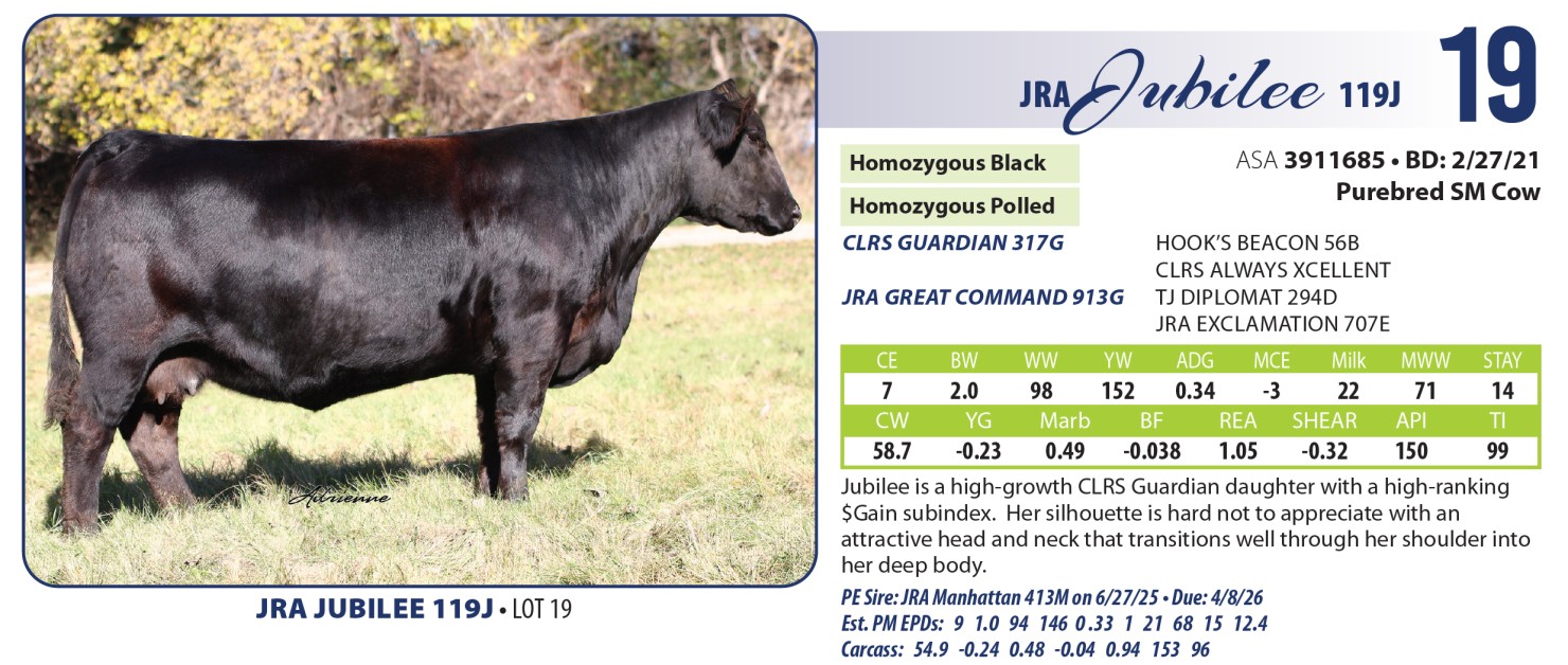 Lot 19: Anderson Cattle Company - New Beginnings Simmental Female Sale ...