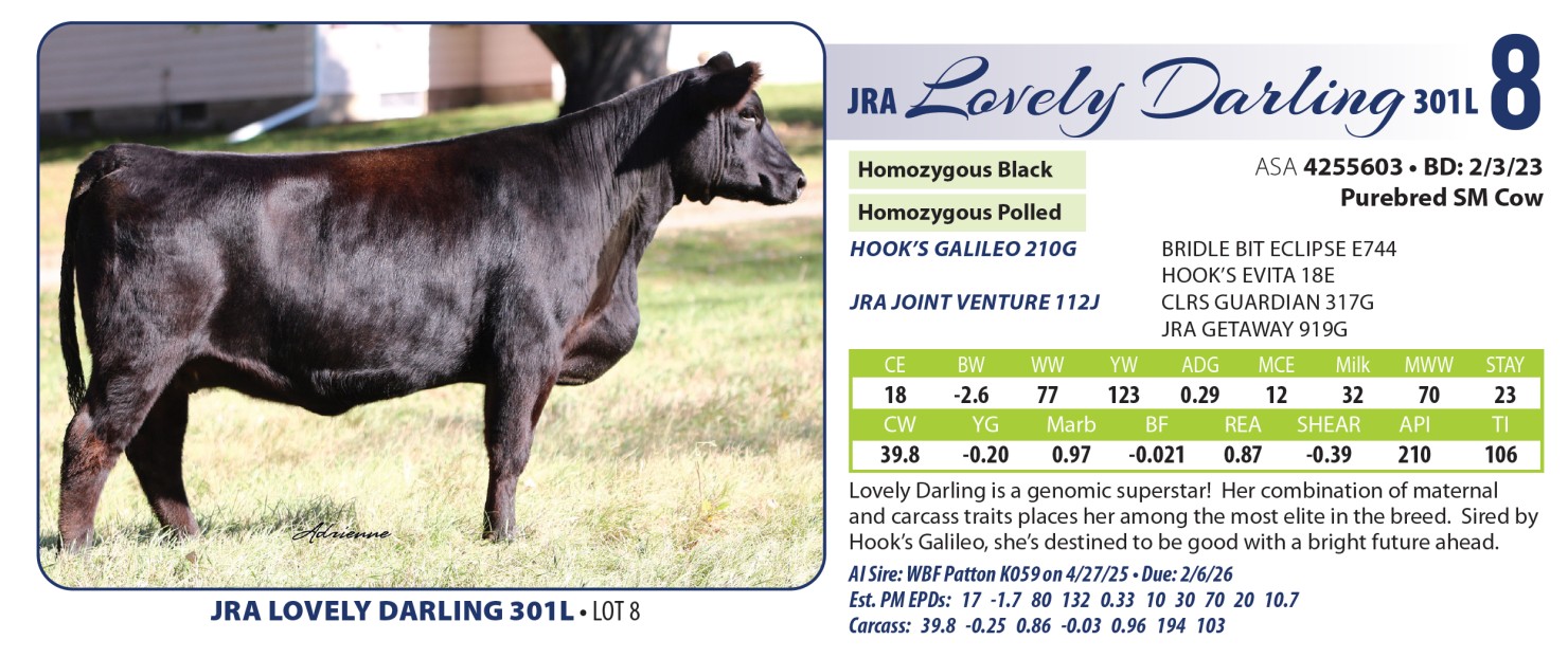 Lot 8: Anderson Cattle Company - New Beginnings Simmental Female Sale ...