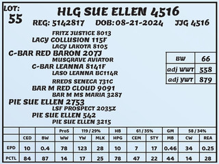Lot 55: Gregg Red Angus & Todd Weber Charolais | DVAuction