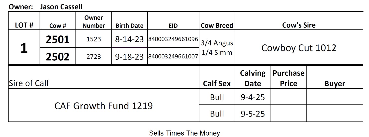 Lot 1: Carroll Grayson Cattle Association - Mountain Momma Sale | DVAuction