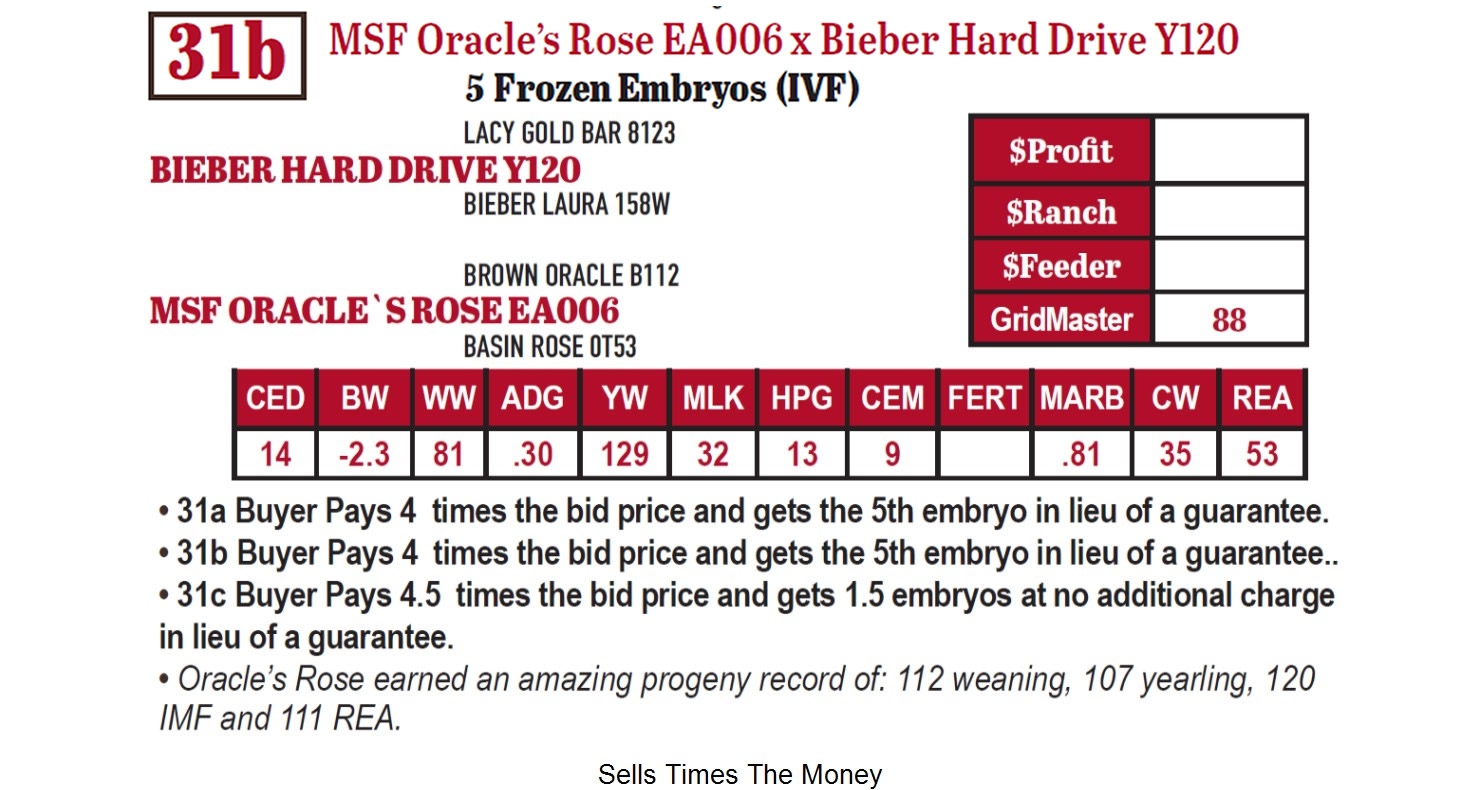 Lot 31b - MSF ORACLE`S ROSE EA006 x Bieber Hard Drive Y120 - 5 embryos ...