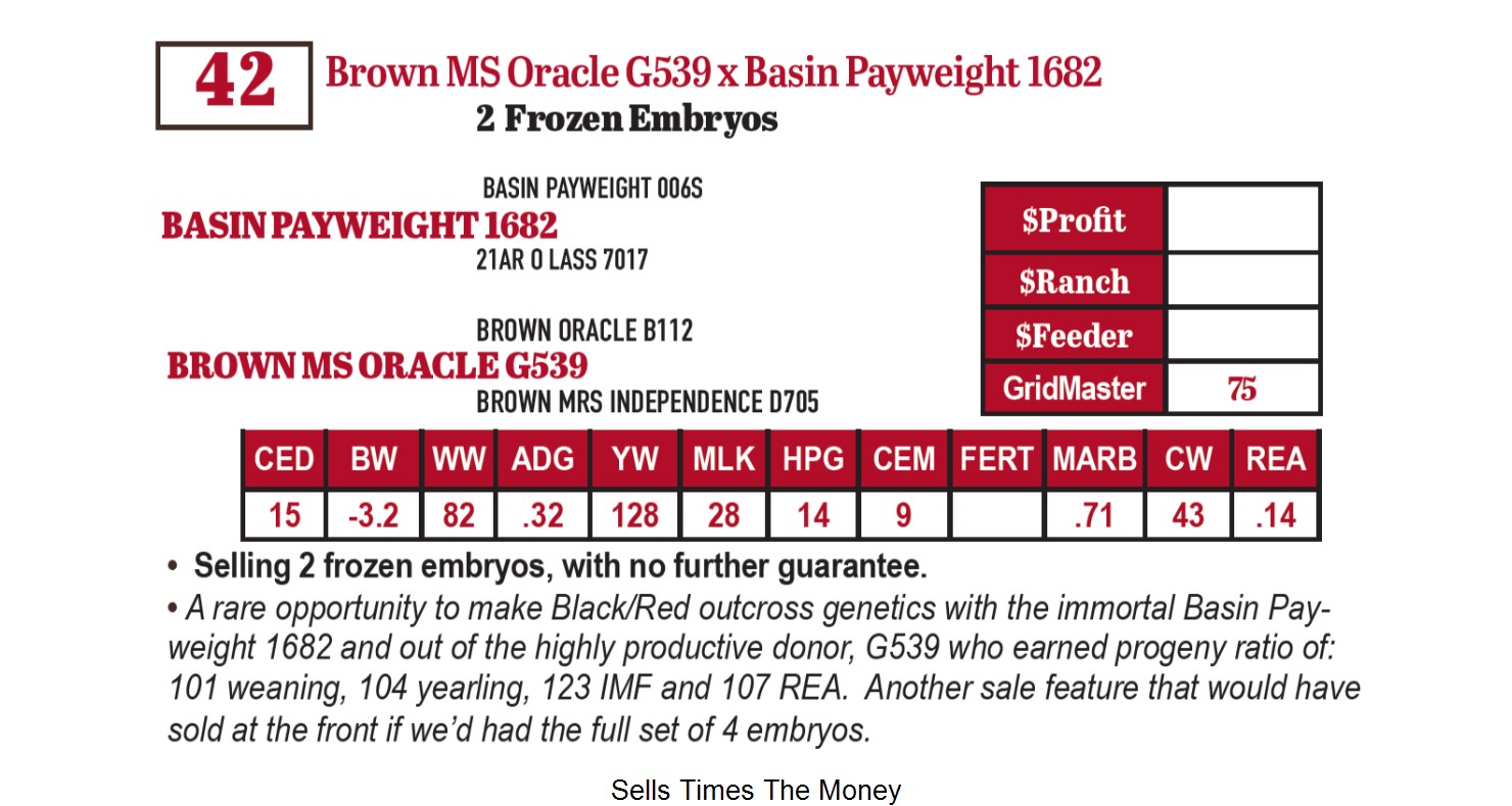 Lot 42 - BROWN MS ORACLE G539 x Basin Payweight 1682 - 1 embryo (sell ...
