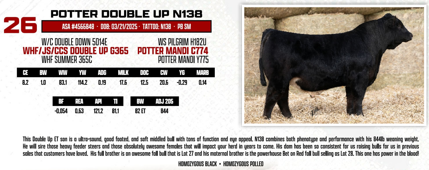 Lot 26: Potter Cattle - Annual Bull Sale | DVAuction