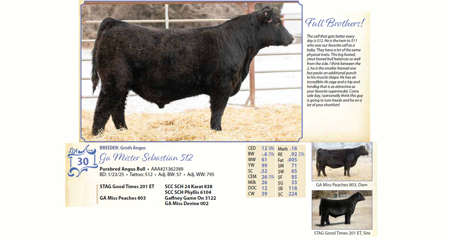 Lot 30: Blue River Gang - 44th Annual Sale | DVAuction