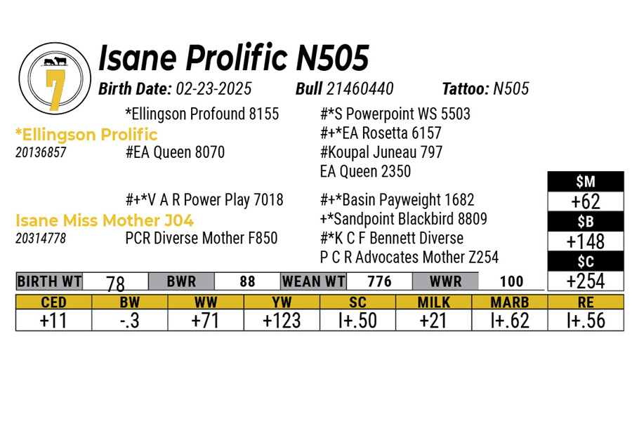 Lot 7 - Isane Prolific N505: Isane Farms Inc. - Angus & Sim-Angus ...