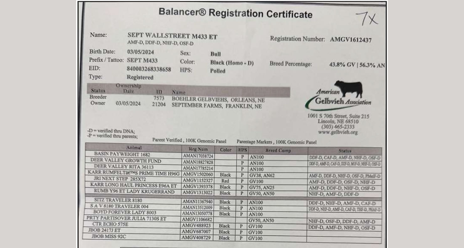 Lot g7x: Black Hills Stock Show - 9am MT Red Angus Show followed by ...