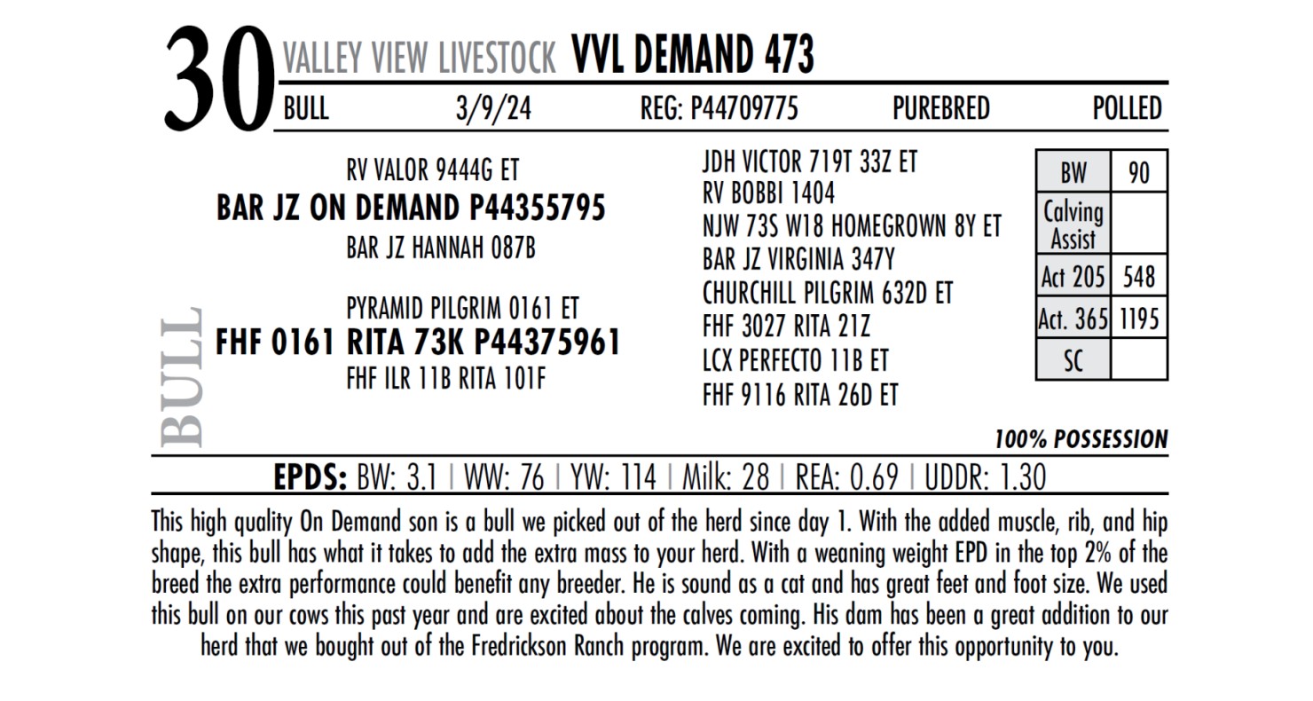 Lot h30: Black Hills Stock Show - Hereford Show at 9am MT followed by ...