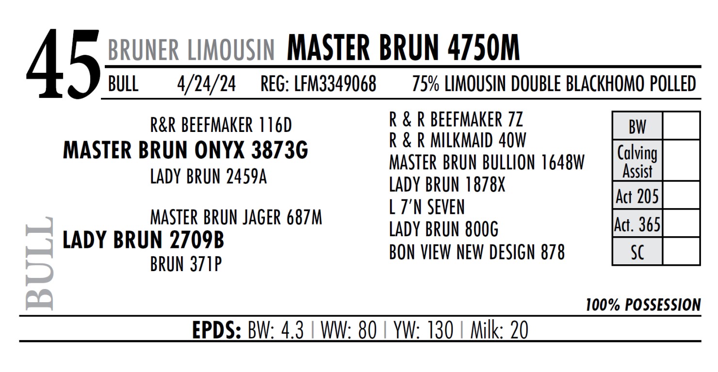 Lot l45: Black Hills Stock Show - 9am MT Limousin Show - 10am MT Maine ...