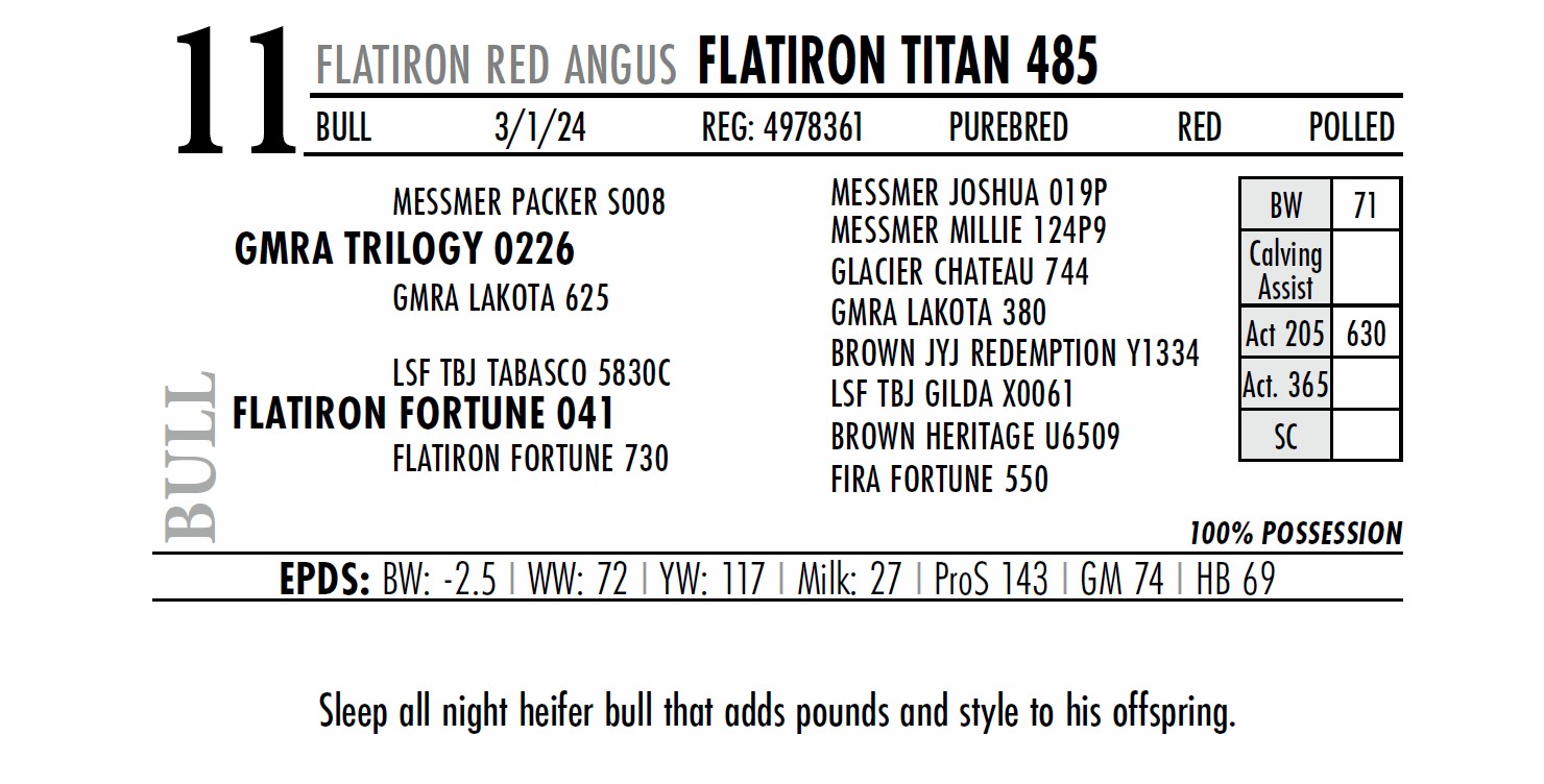 Lot r11: Black Hills Stock Show - 9am MT Red Angus Show followed by 11am MT Gelbvieh Show - Red ...