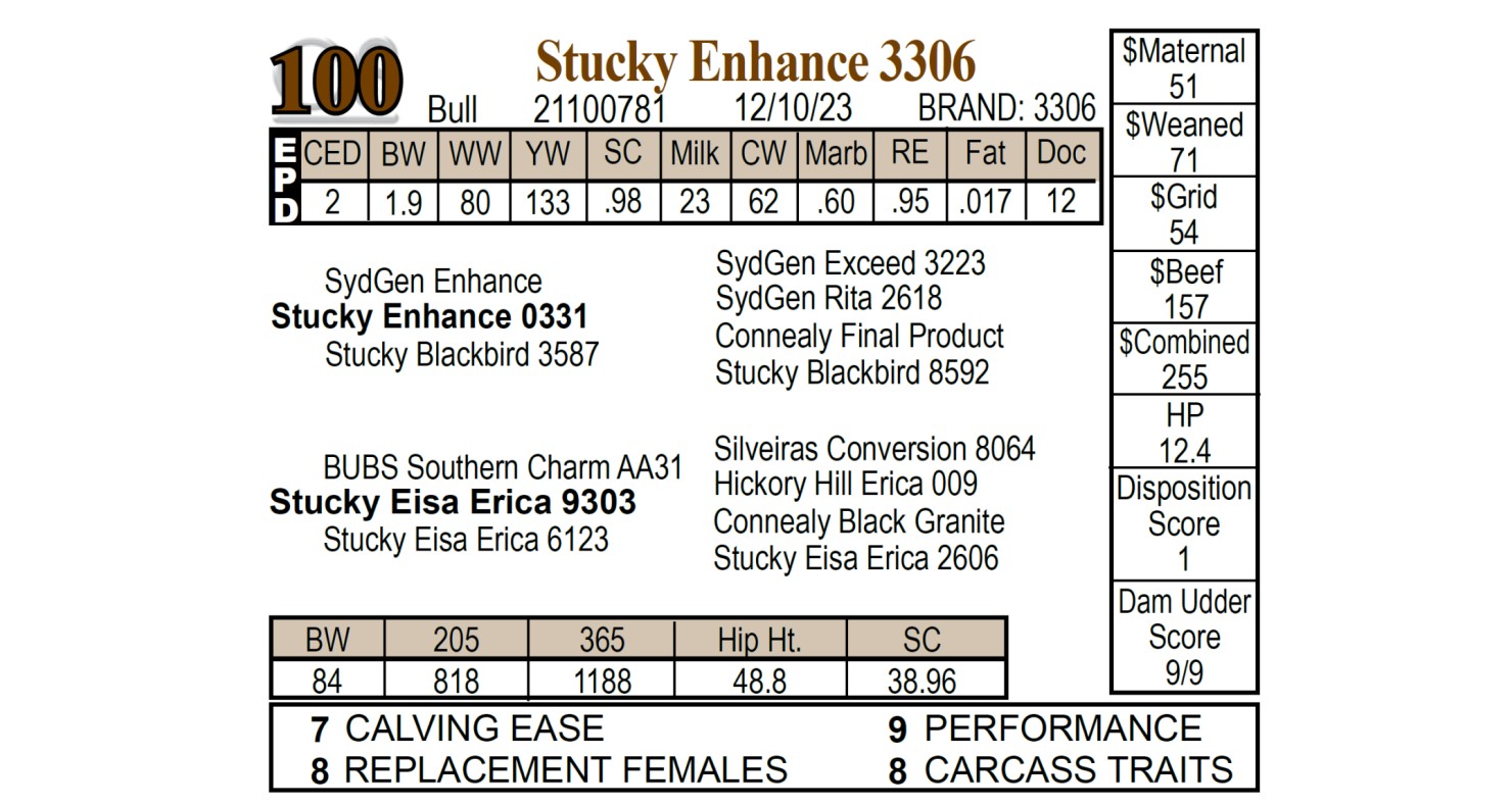 Lot 100: Stucky Ranch - 32nd Annual Production Sale | DVAuction