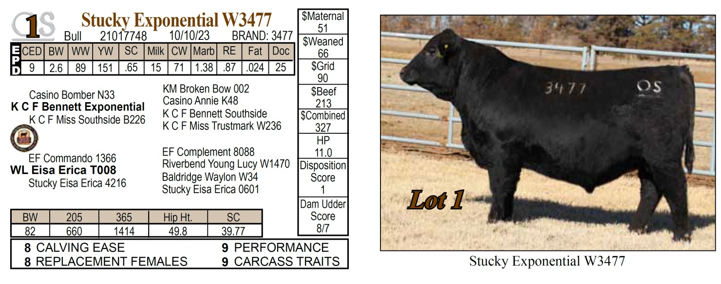 Lot 1: Stucky Ranch - 32nd Annual Production Sale | DVAuction