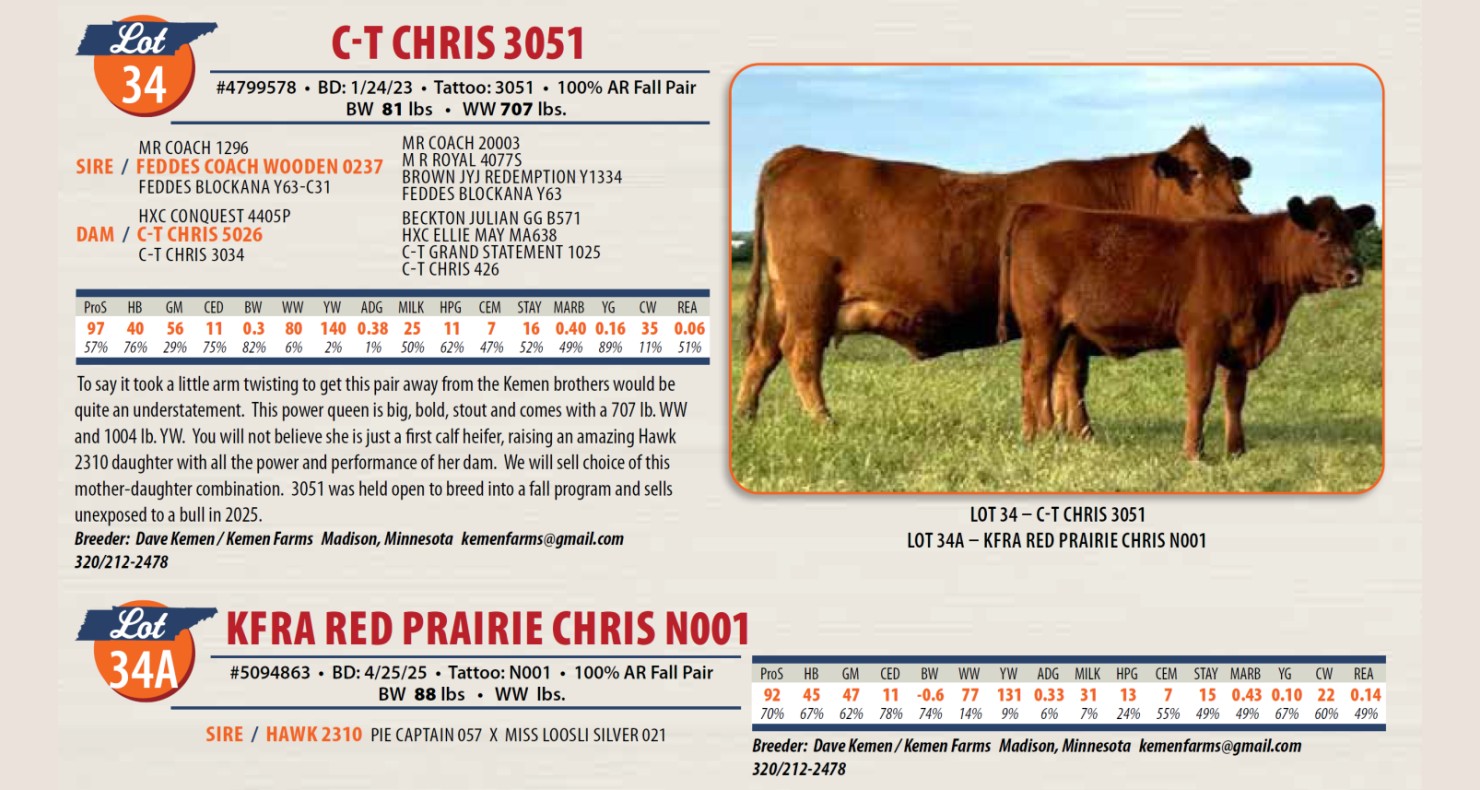 Lot 34: Southeast Red Angus Association - SE Red Angus Autumn ...