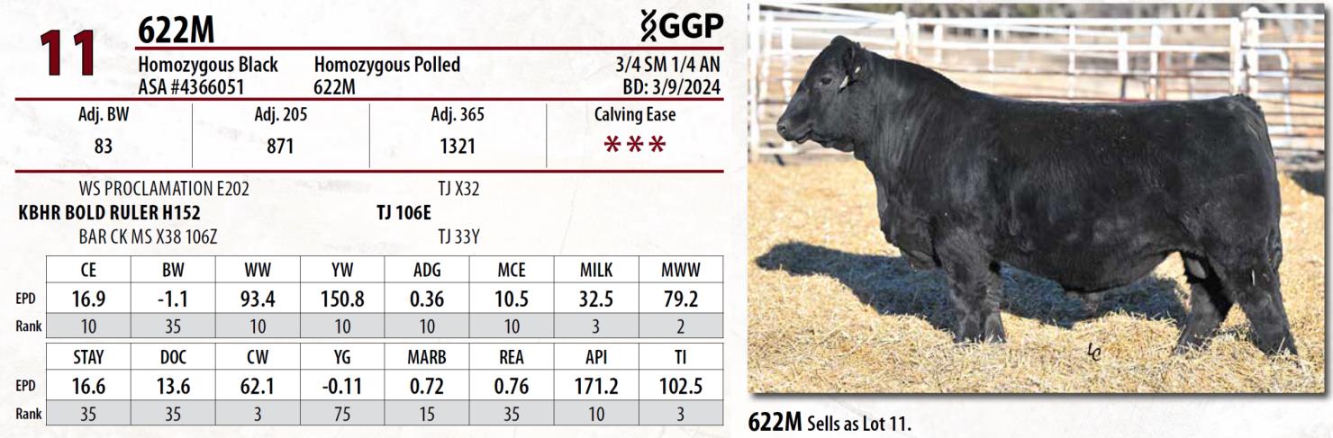 Lot 11: Triangle J Ranch and Altenburg Super Baldy Ranch - Colorado ...