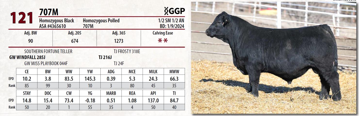 Lot 121: Triangle J Ranch and Altenburg Super Baldy Ranch - Colorado ...