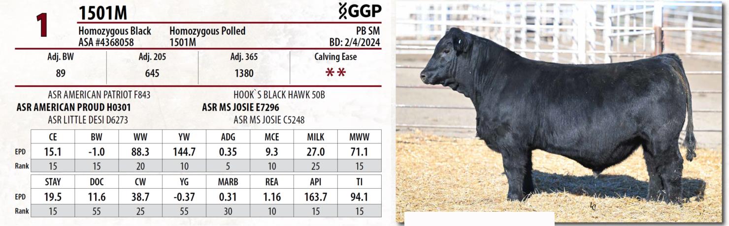 Lot 1: Triangle J Ranch and Altenburg Super Baldy Ranch - Colorado ...