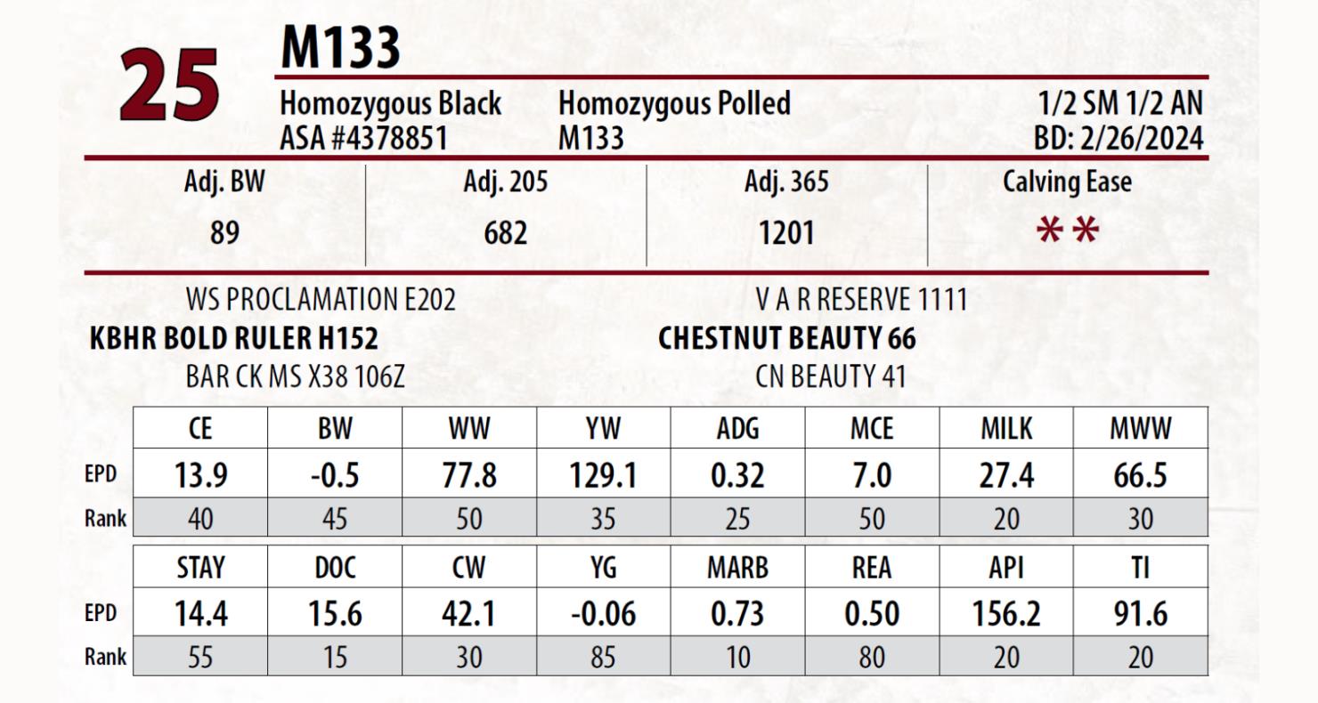 Lot 25: Triangle J Ranch and Altenburg Super Baldy Ranch - Colorado ...