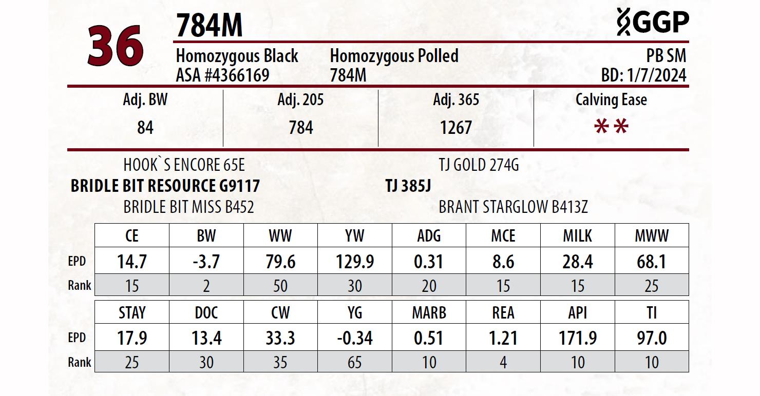 Lot 36: Triangle J Ranch and Altenburg Super Baldy Ranch - Colorado ...