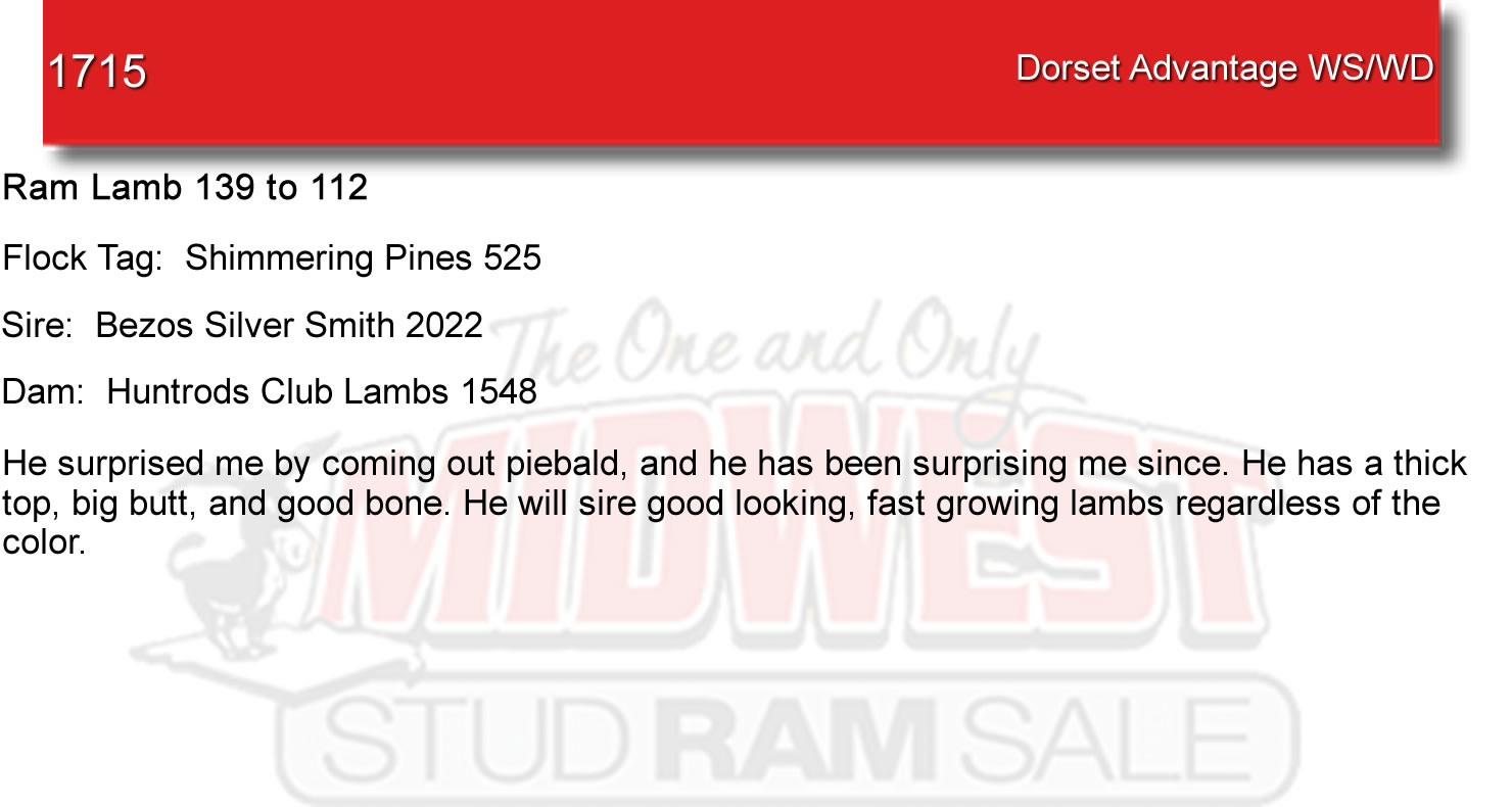 Lot 1715: Midwest Stud Ram Sale - Sales: Dorper & White Dorper, Southdown, Shropshire, Club Lamb ...