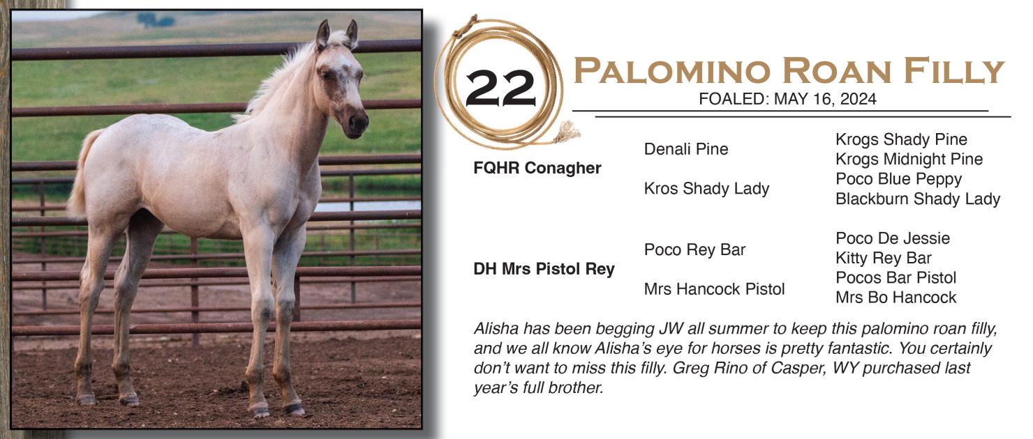 Lot 22: Froelich Ranch - 54th Annual Legacy Quarter Horse Sale | DVAuction