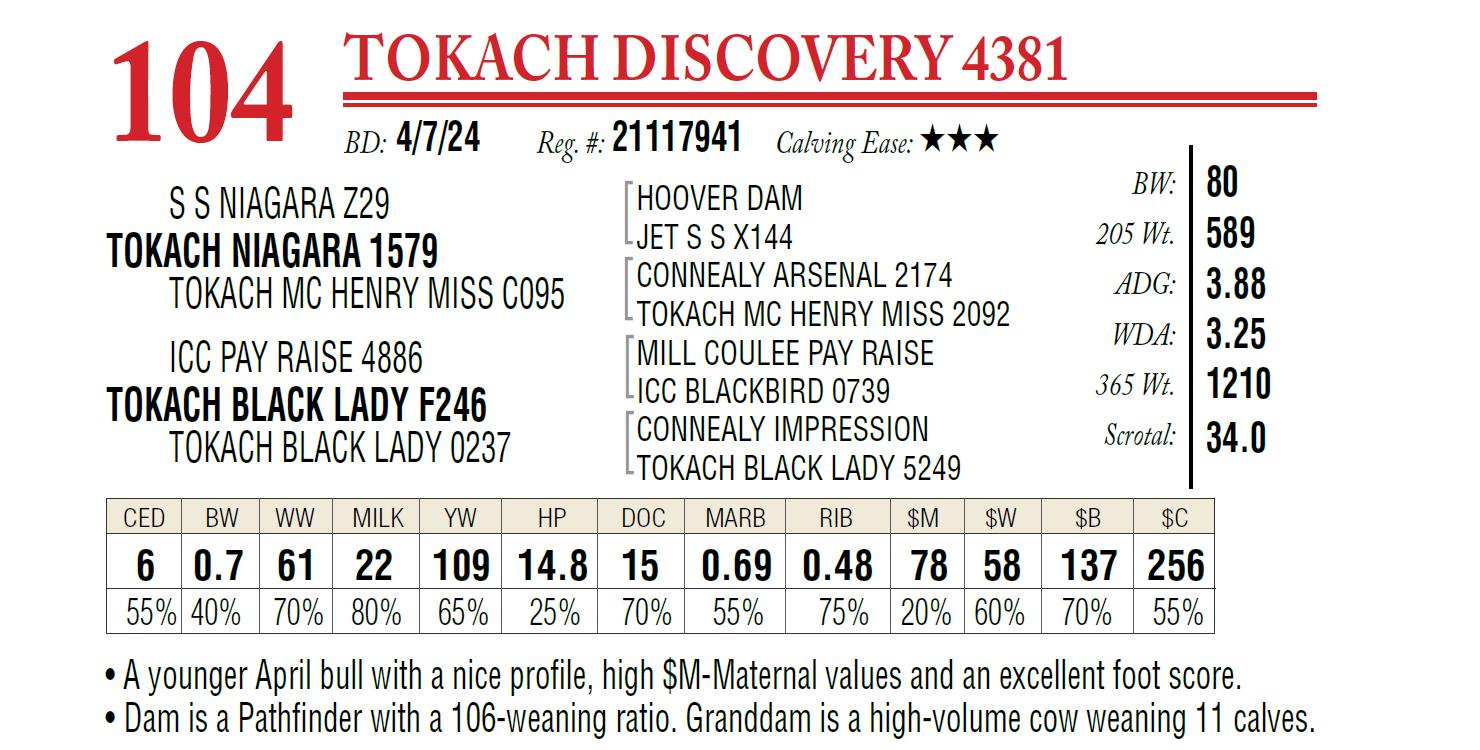 Lot 104: Tokach Angus Ranch - 50th Annual Angus Bull & Female Sale ...