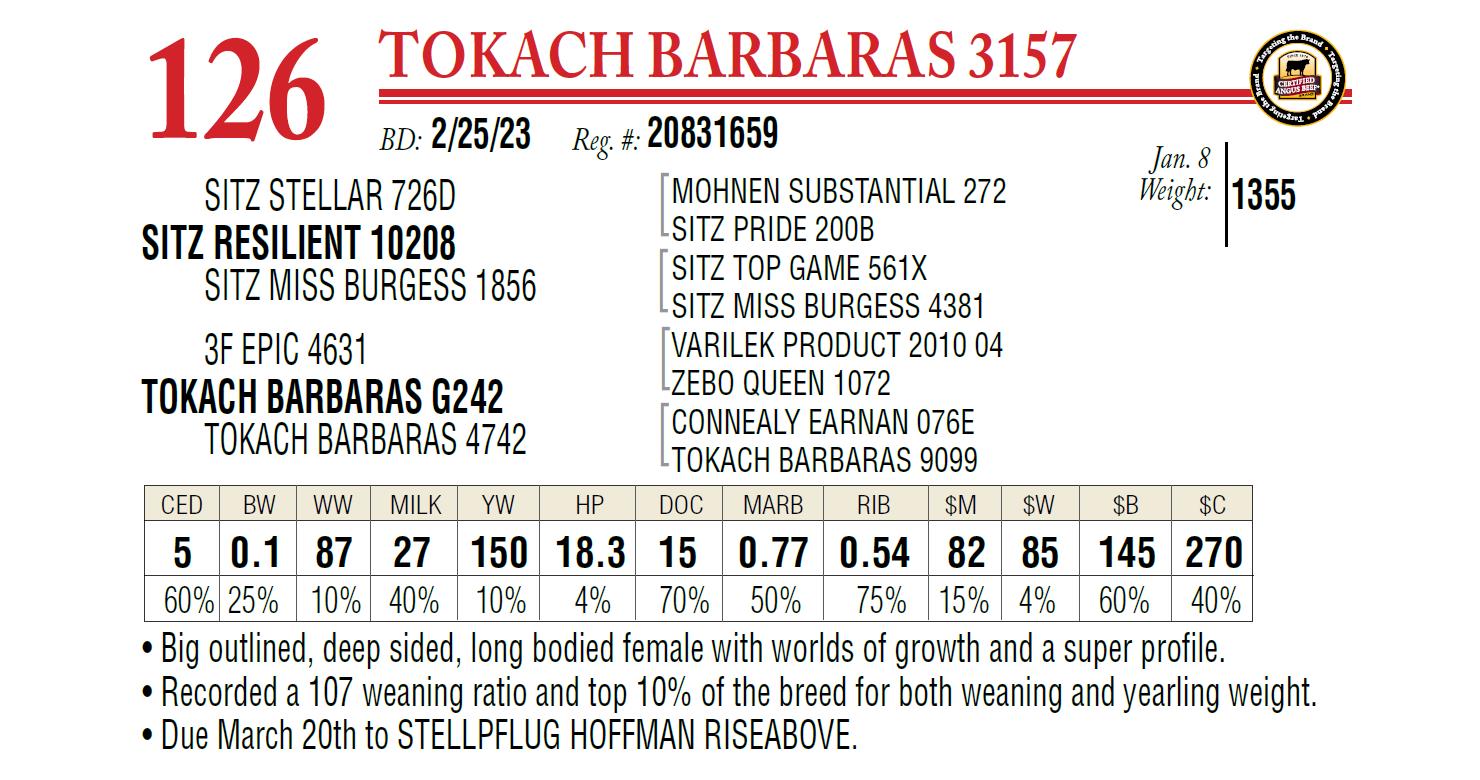 Lot 126: Tokach Angus Ranch - 50th Annual Angus Bull & Female Sale ...