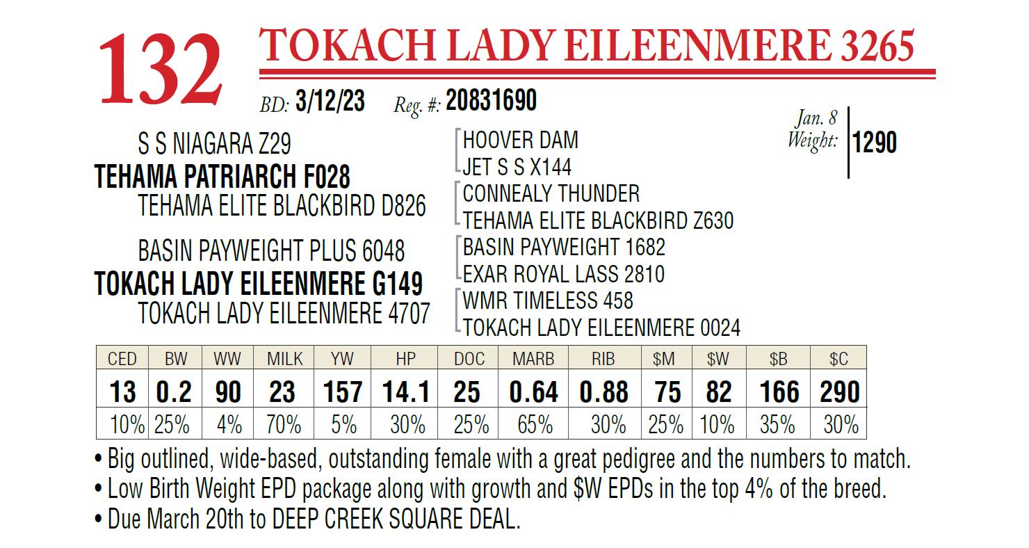 Lot 132: Tokach Angus Ranch - 50th Annual Angus Bull & Female Sale ...