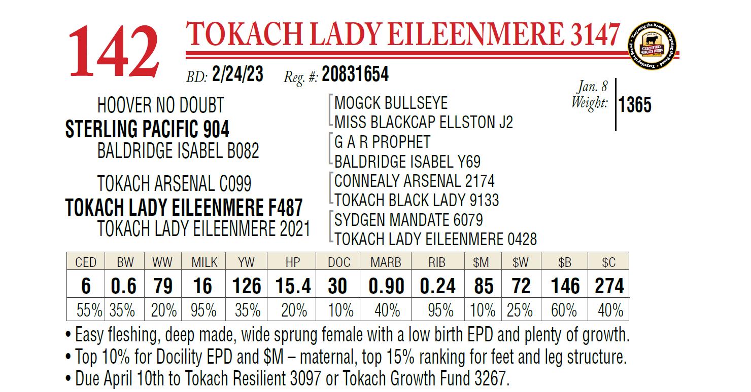 Lot 142: Tokach Angus Ranch - 50th Annual Angus Bull & Female Sale ...