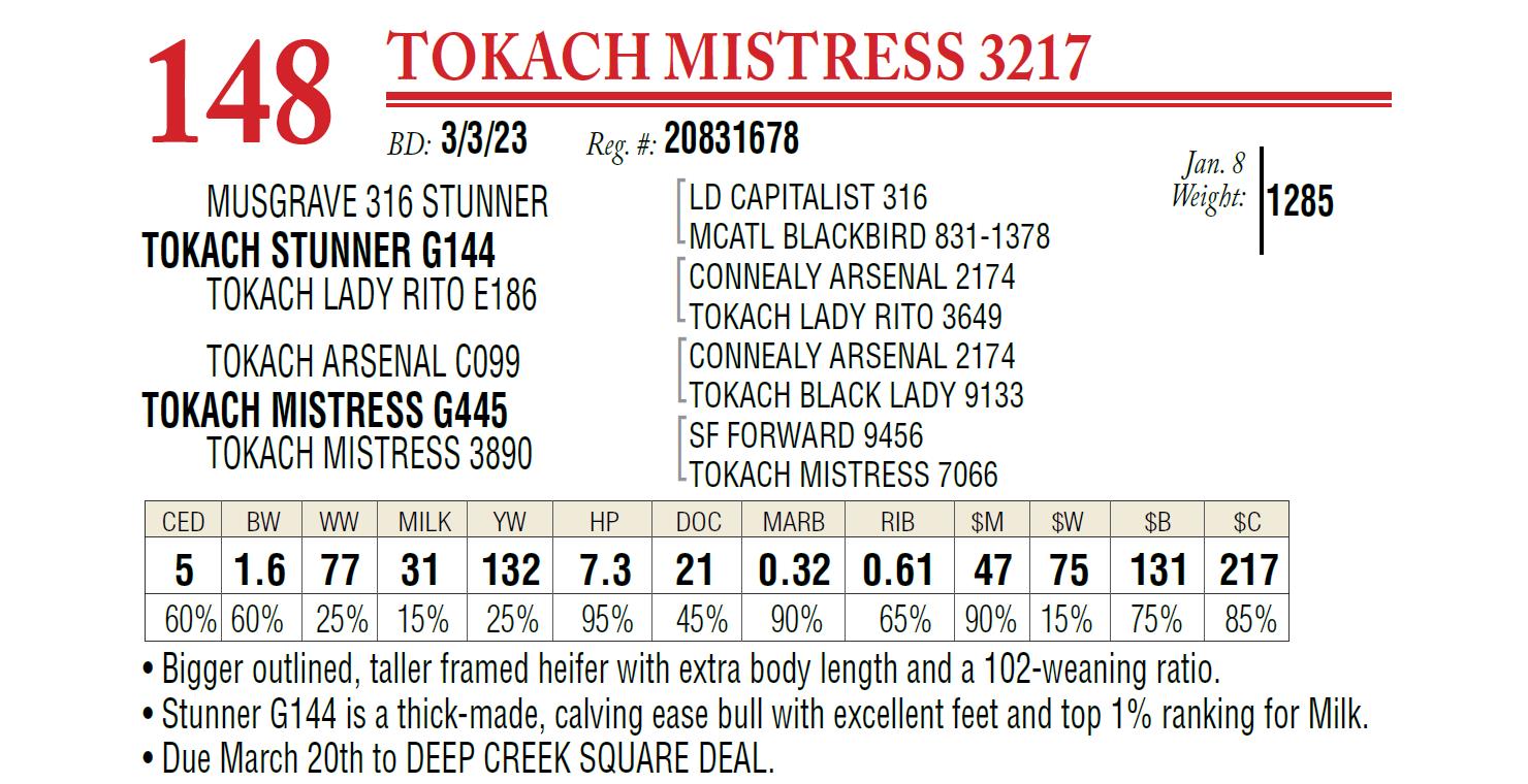 Lot 148: Tokach Angus Ranch - 50th Annual Angus Bull & Female Sale ...