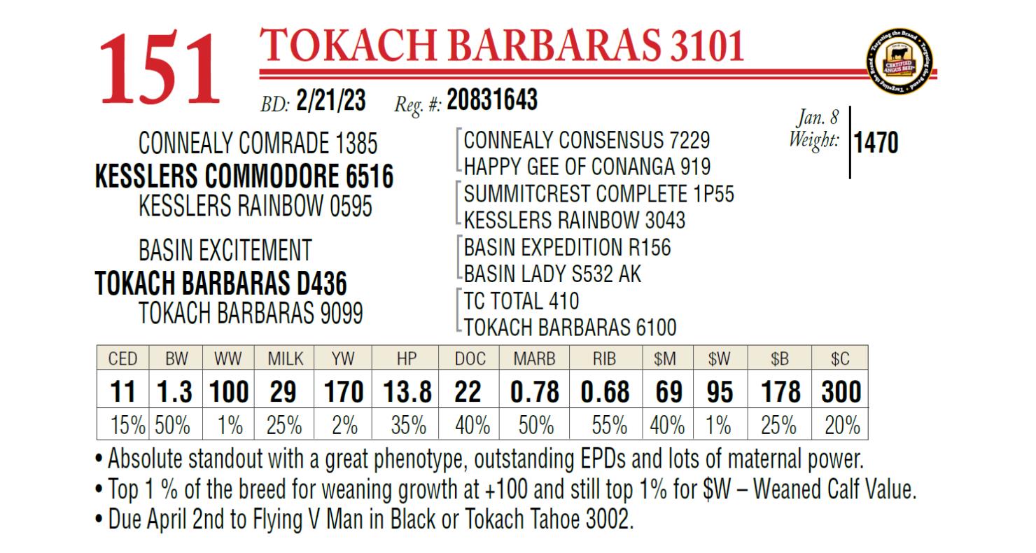 Lot 151: Tokach Angus Ranch - 50th Annual Angus Bull & Female Sale ...