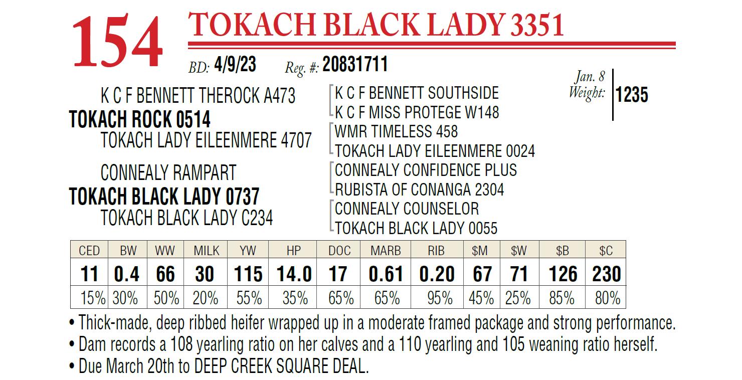 Lot 154: Tokach Angus Ranch - 50th Annual Angus Bull & Female Sale ...
