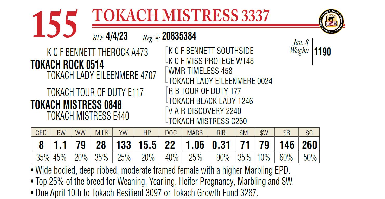 Lot 155: Tokach Angus Ranch - 50th Annual Angus Bull & Female Sale ...