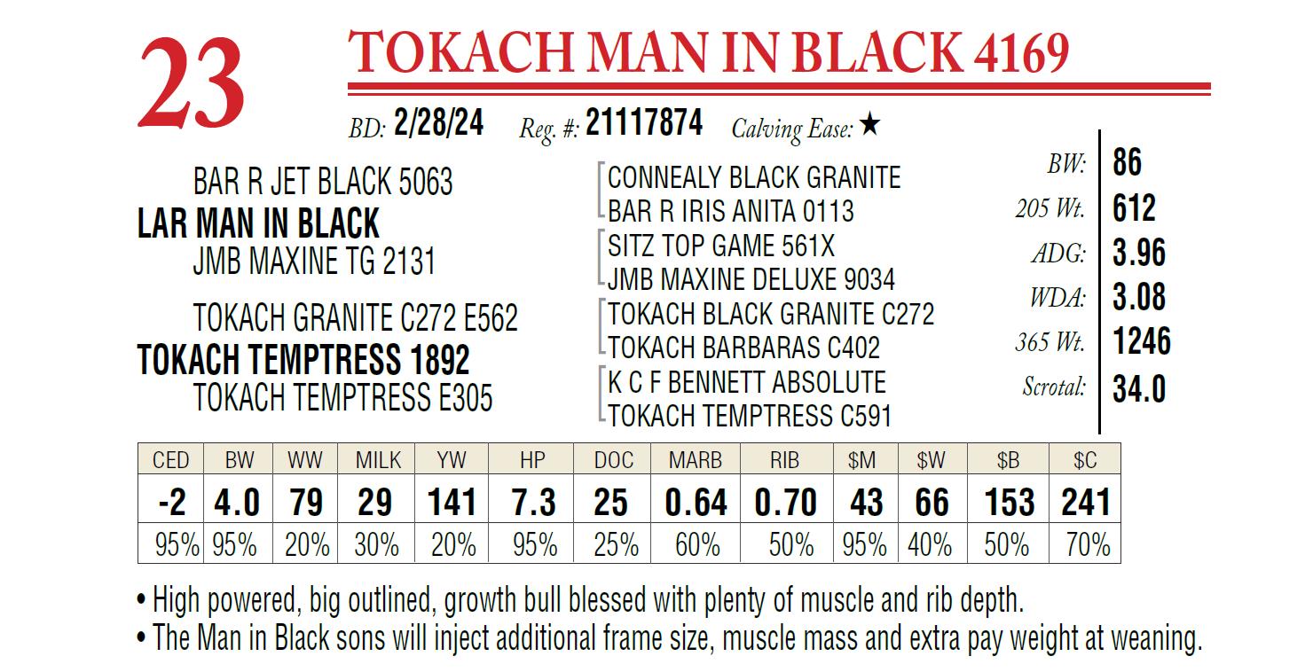 Lot 23: Tokach Angus Ranch - 50th Annual Angus Bull & Female Sale ...