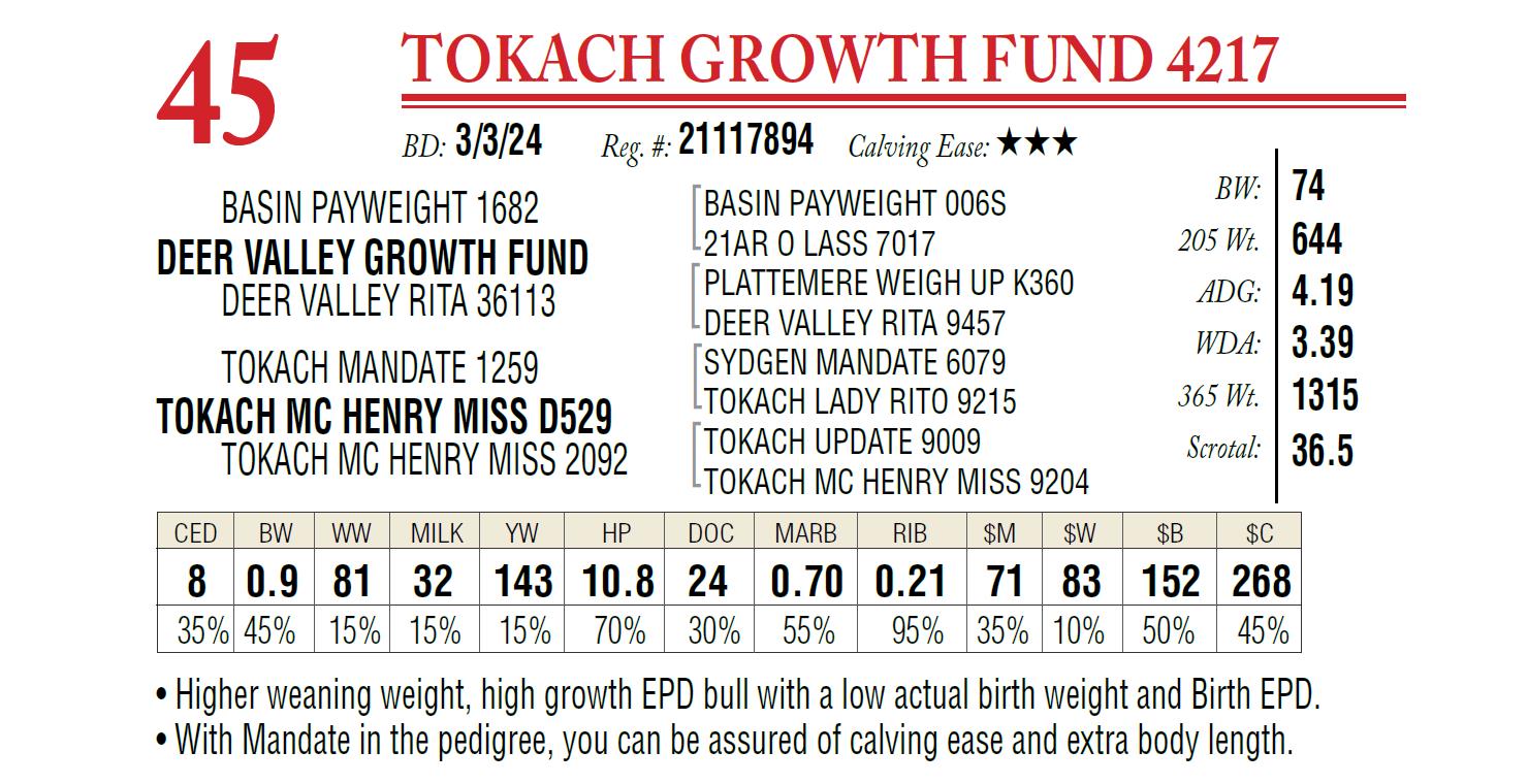 Lot 45: Tokach Angus Ranch - 50th Annual Angus Bull & Female Sale ...