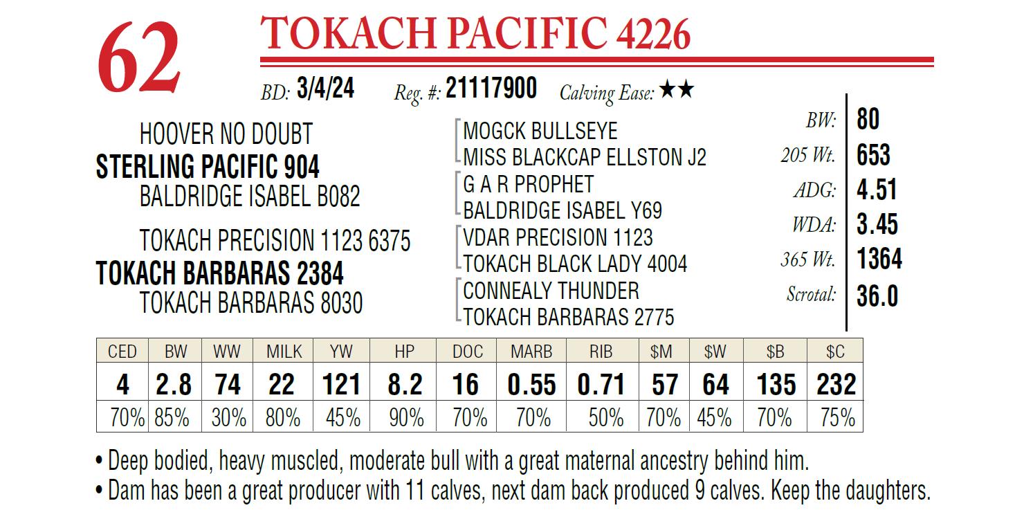 Lot 62: Tokach Angus Ranch - 50th Annual Angus Bull & Female Sale ...