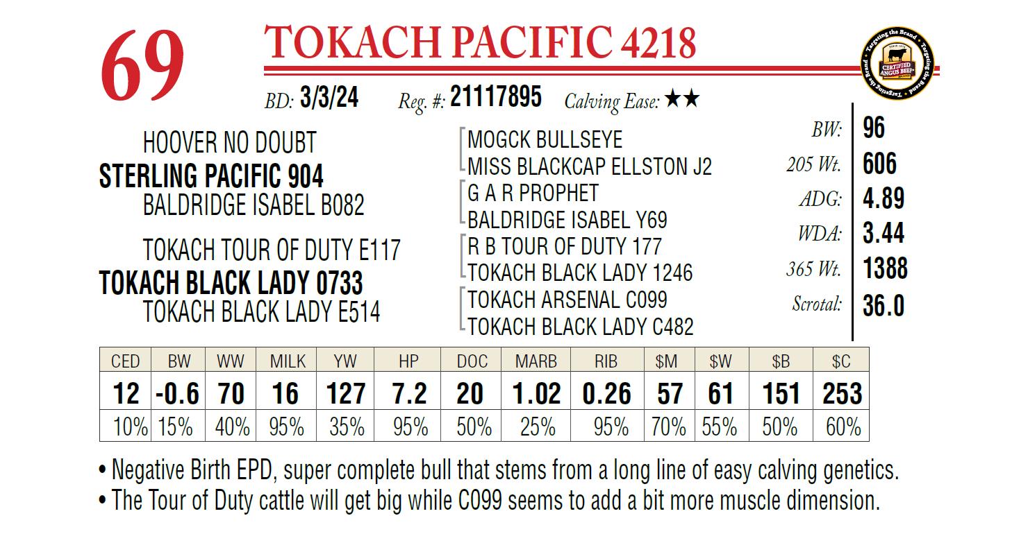 Lot 69: Tokach Angus Ranch - 50th Annual Angus Bull & Female Sale ...