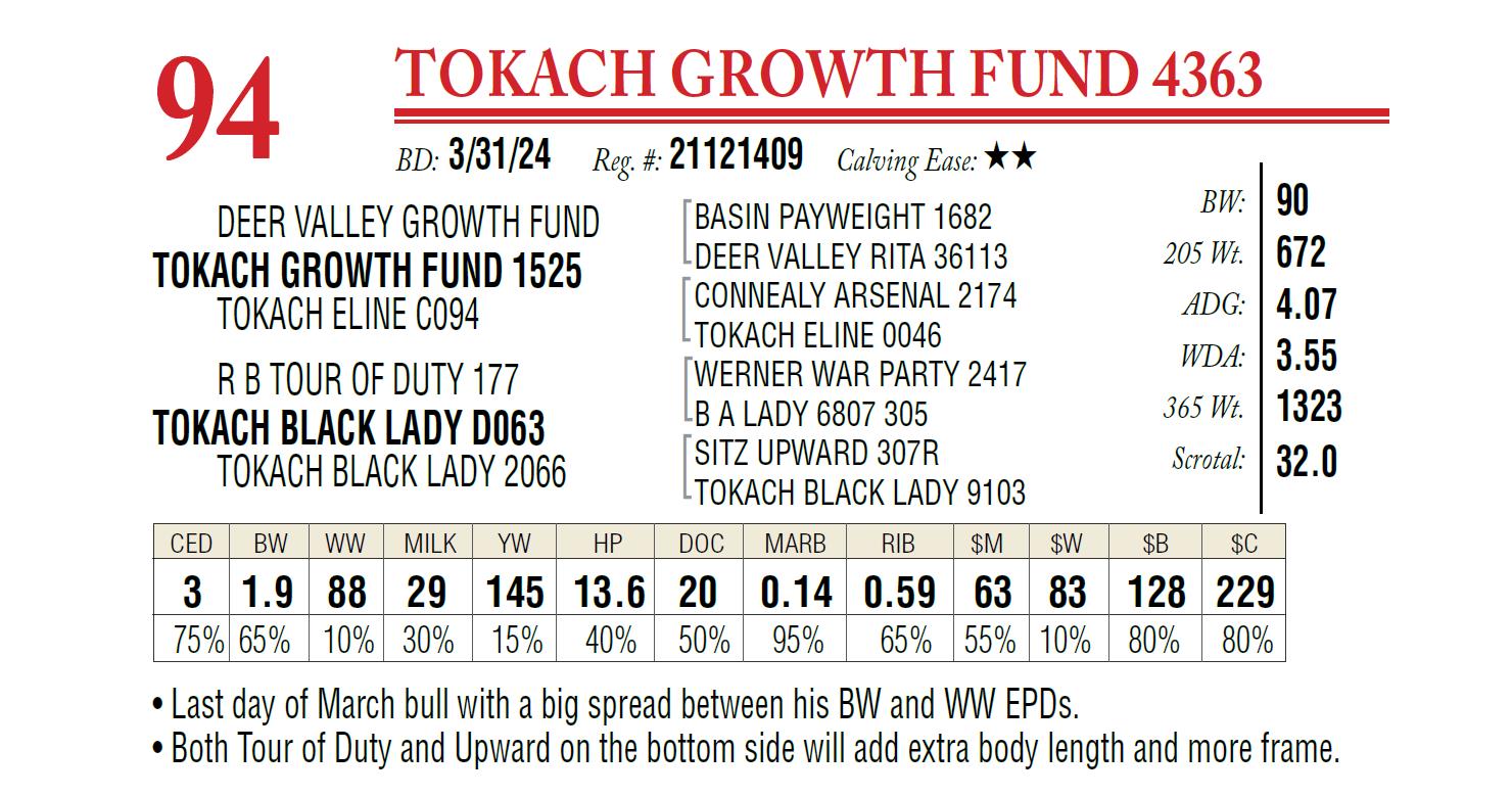 Lot 94: Tokach Angus Ranch - 50th Annual Angus Bull & Female Sale ...