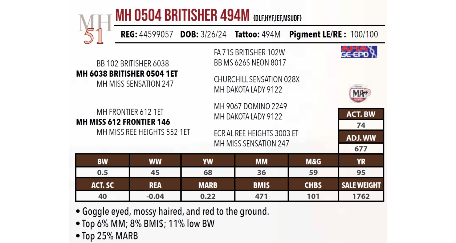 Lot 51: Mrnak Herefords - Annual Production Sale | DVAuction