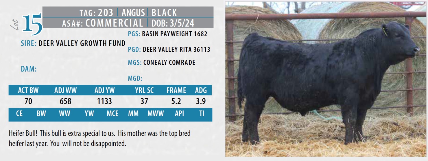 Lot 15: Christensen Simmentals - 53rd Annual Simmental Bull Sale Online ...