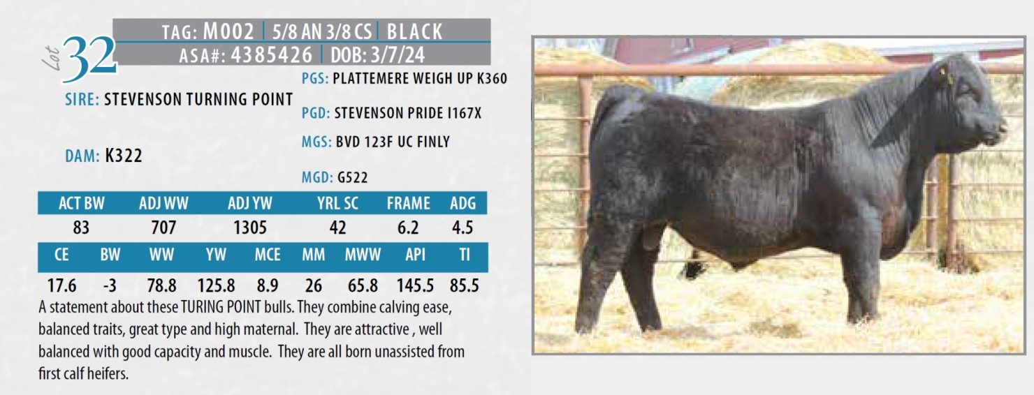 Lot 32: Christensen Simmentals - 53rd Annual Simmental Bull Sale Online ...