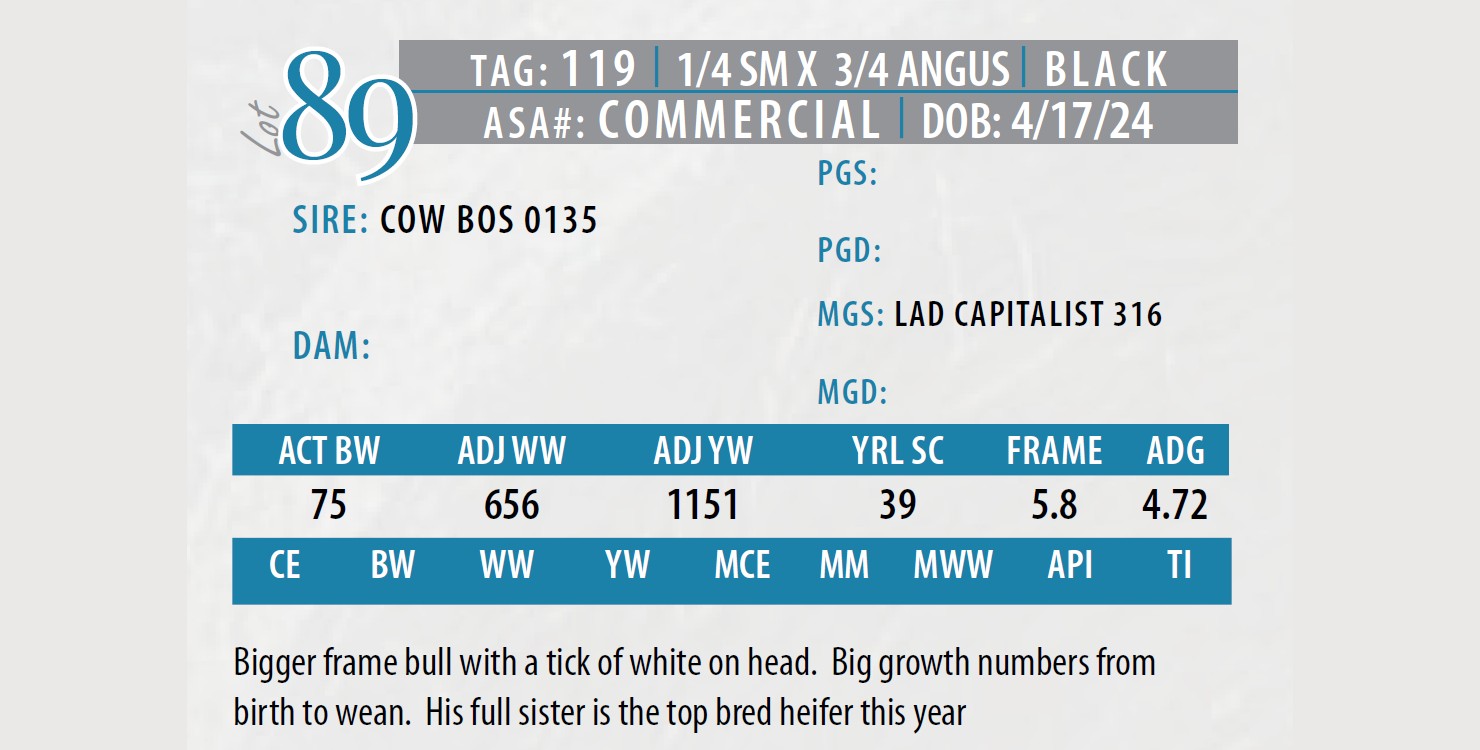Lot 89: Christensen Simmentals - 53rd Annual Simmental Bull Sale Online ...