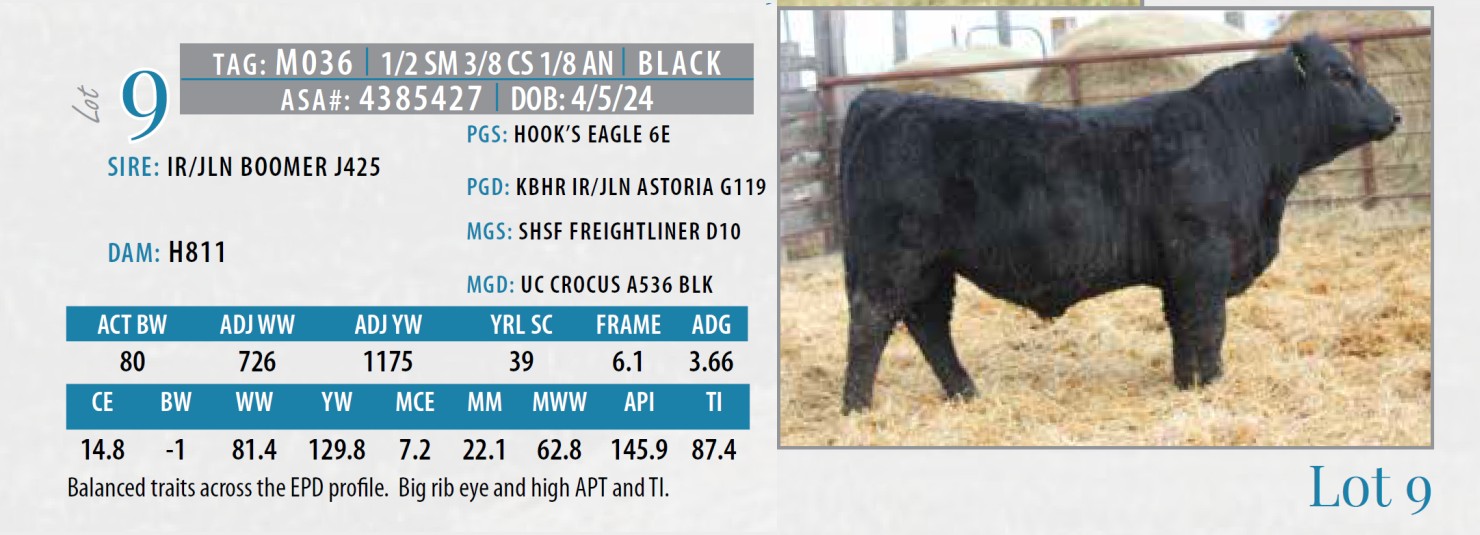 Lot 9: Christensen Simmentals - 53rd Annual Simmental Bull Sale Online ...